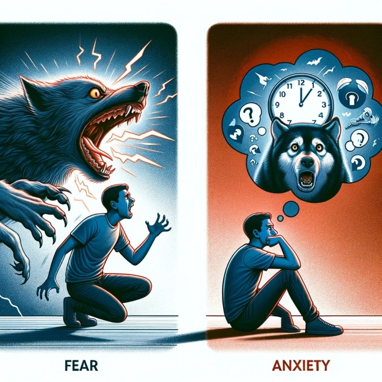 Fear vs Anxiety – Navarro Counseling